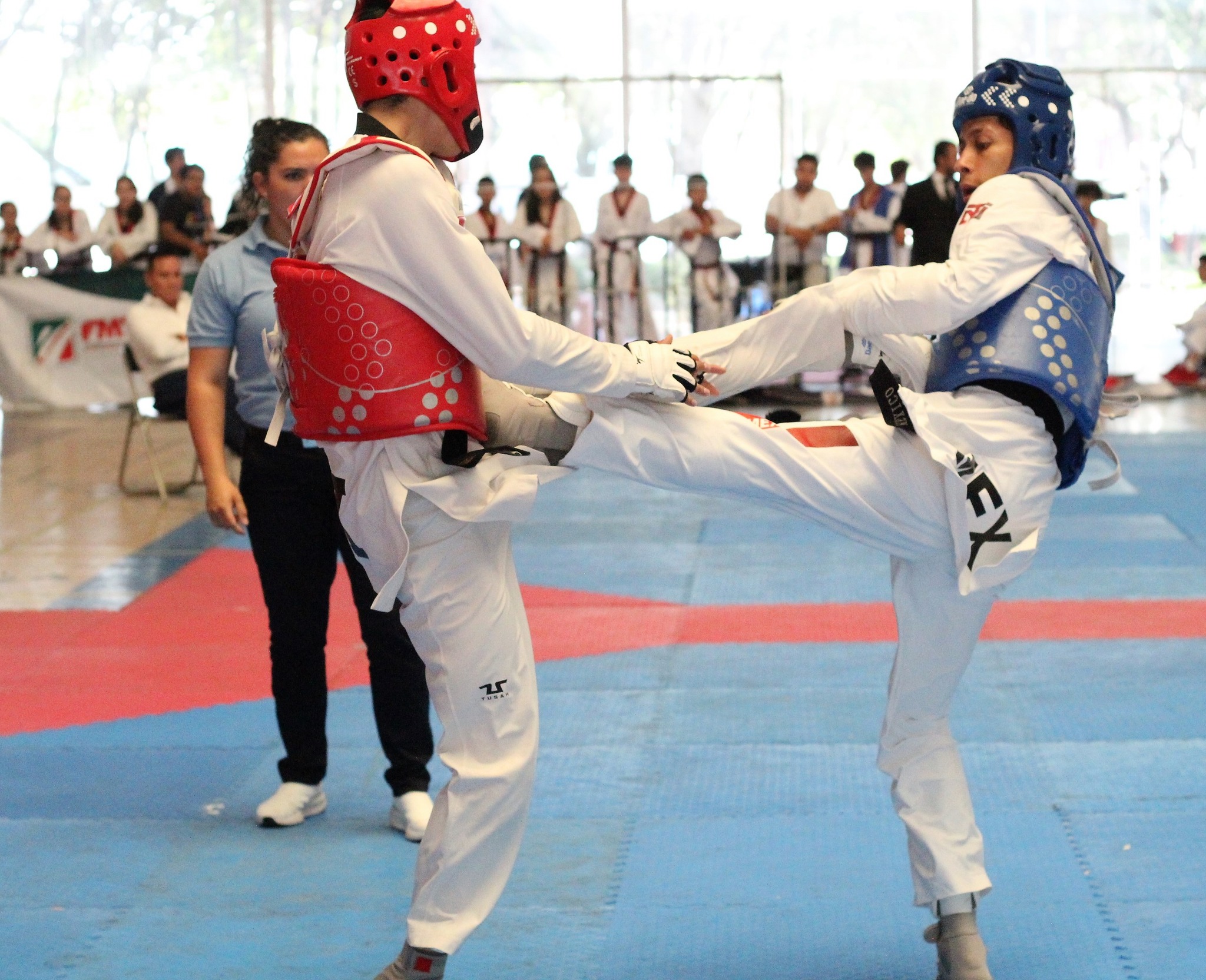 Alistan queretanos participación en Campeonato Mundial de Taekwondo ...